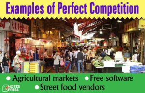 Market: Definition, Features and Types of Market | Economics